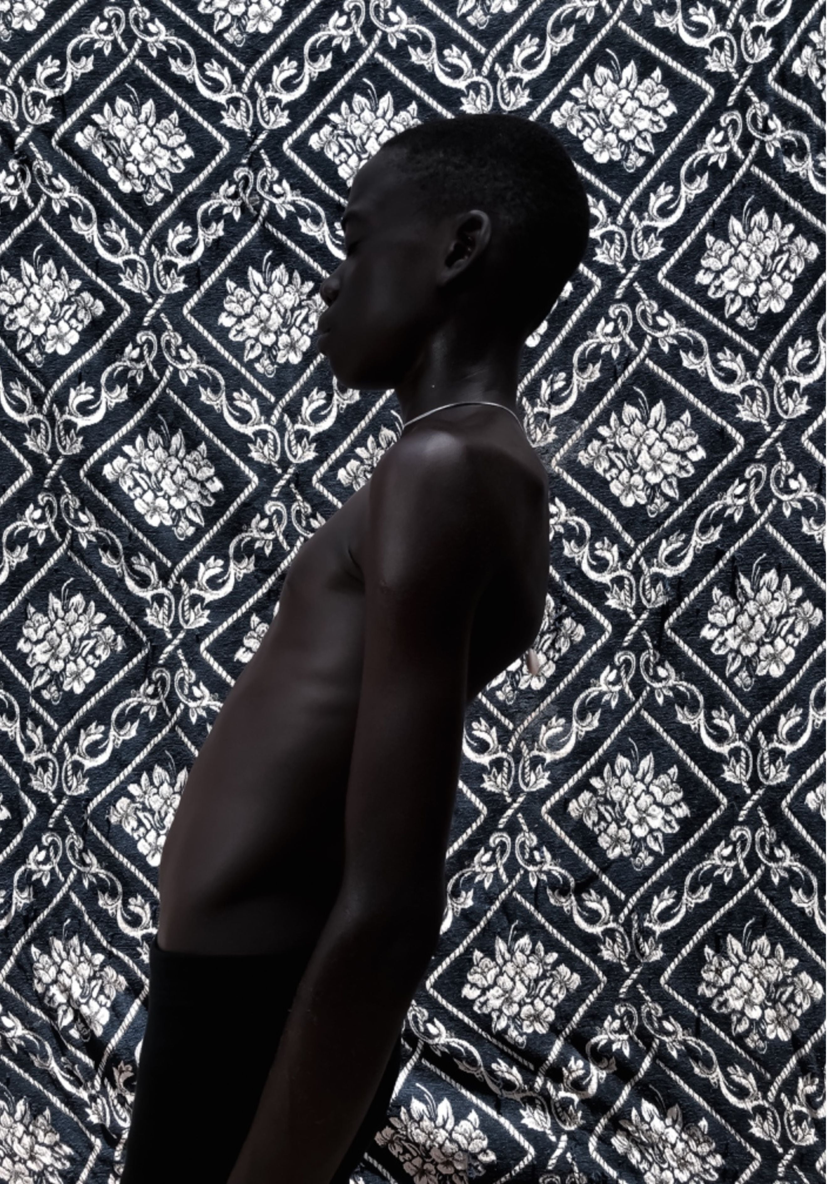 WHITE FLOWERS AND LIGHT ON BLACK BODY I, Photography by Resem Verkron ...